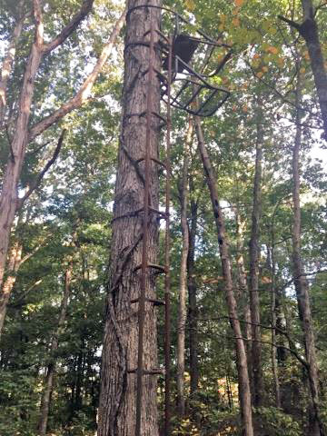 Holland man injured in tree stand fall - Dubois County Free Press, Inc.