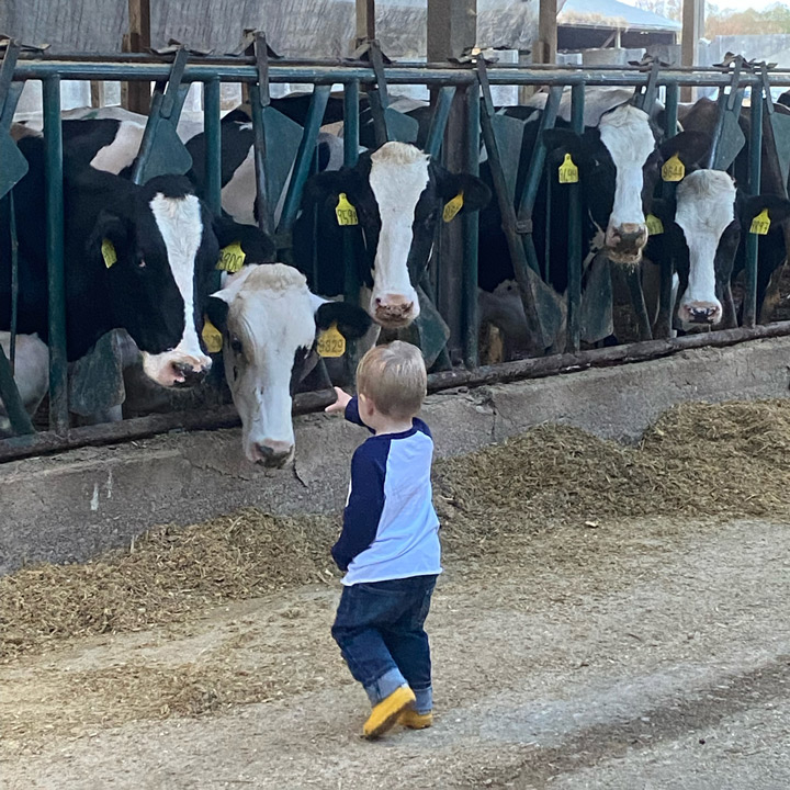 Discover Dairy Day offers plenty of fun and tasty learning experiences ...