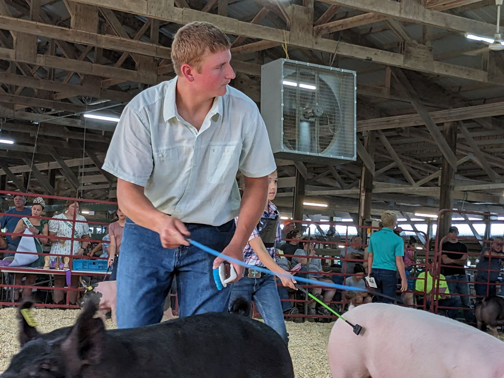 Photos: 4-H Fair fun and horses - Dubois County Free Press, Inc.