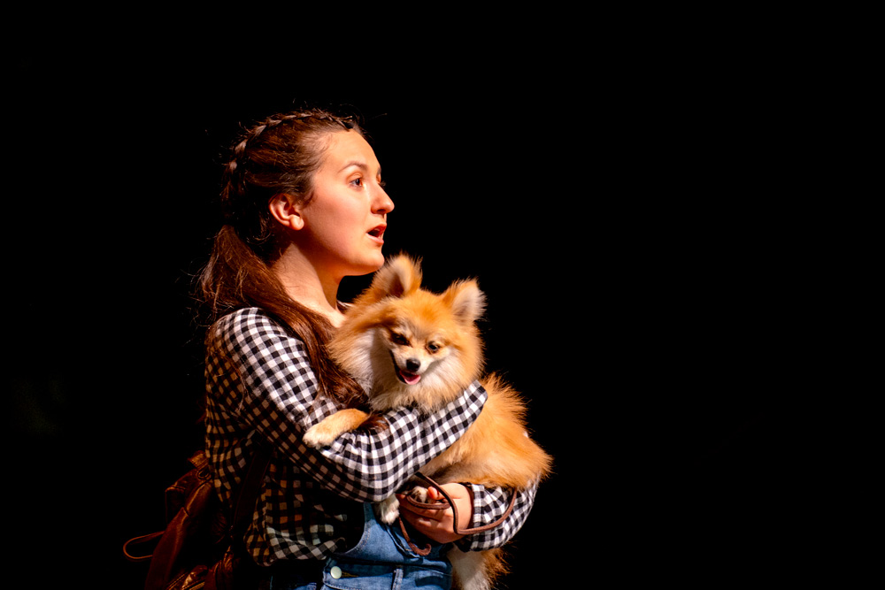 Massive production brings Oz to life at Jasper Arts Center - Dubois ...