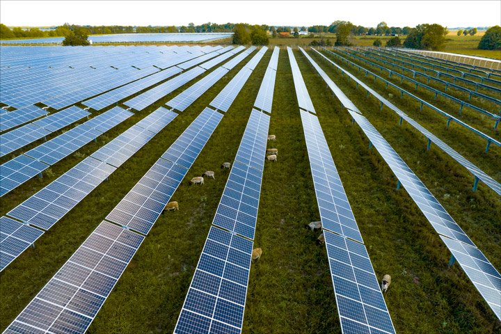 Huntingburg council hears about Lightsource BP solar project - Dubois ...